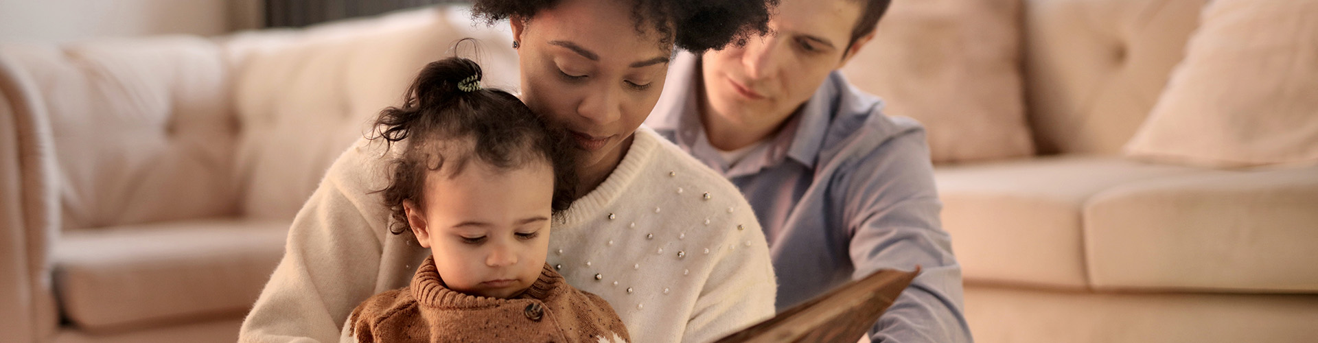 Instituto EFESA – Plataforma Educativa